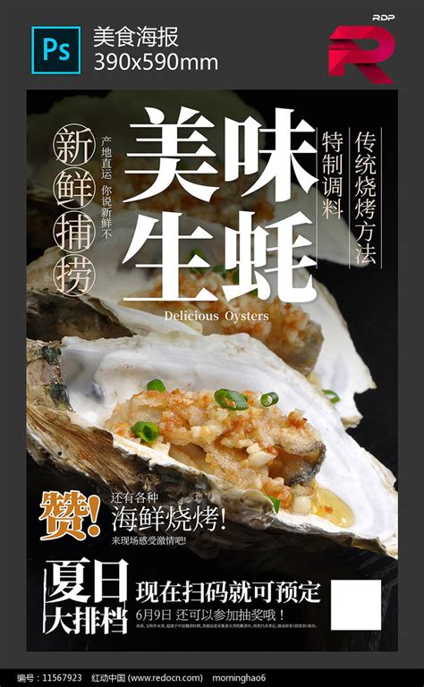 生蚝美食海报图片下载红动中国