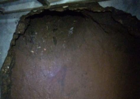 Longsor Terjadi Di Tanah Sareal Bogor Menjebol Tembok Rumah Warga