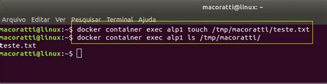 Docker Executando Comandos Em Um Contêiner Em Execução