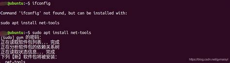 Ubuntu 1804 1904 Ifconfig安装ubuntu1804安装ifconfig Csdn博客