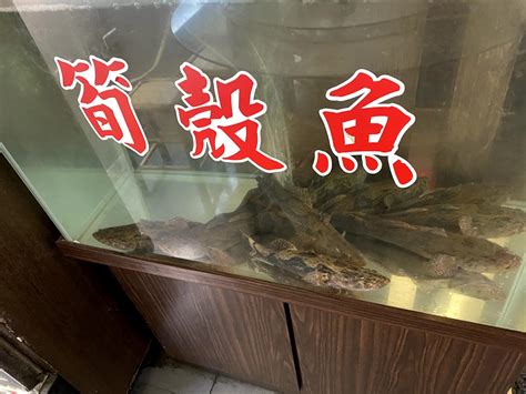 【食記】台南白河－竹香園關子嶺總店★香脆多汁的甕缸雞 人生只想浪費在美好事物上