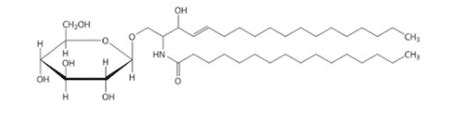 Chem 150 Chp 8 Flashcards Flashcards Quizlet
