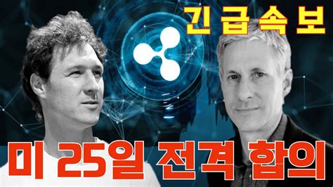 리플 Xrp 긴급속보 미 Sec 25일 전격 합의 Youtube