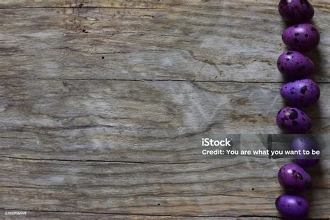 보라색 메추라기 알은 나무 배경에 열 행에 있습니다 한 열에 껍질이 있는 메추라기 알의 평면도 나무 배경에 작은 점선 달걀 부활절 달걀 배경입니다 0명에 대한 스톡 사진 및