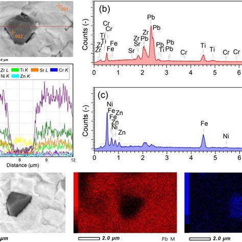 Sem Microstructure Of Multiferroic Ceramic Composites P1 F A B And