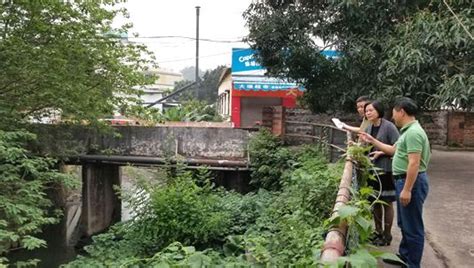 白沙街打出河道整治“组合拳”，龙湾河“颜值”要大涨