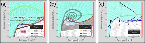 Cusp Catastrophe Permits Pathogen To Sneak Up On Immune System Aqua