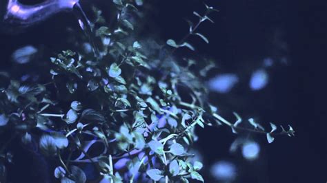 Искусство выпечки хлеба Youtube