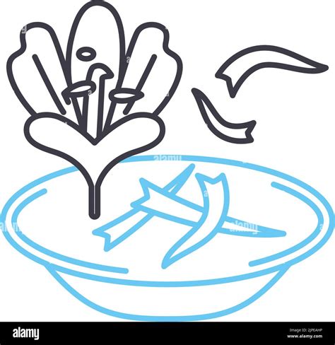 Saffron Line Icon Outline Symbol Vector Illustration Concept Sign Stock Vector Image And Art