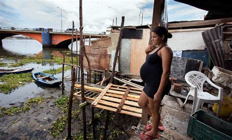 El Zika Y El Embarazo Preguntas Y Respuestas El Universal