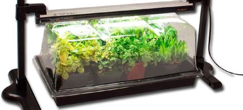 5 Mini Greenhouses For Protecting Plants