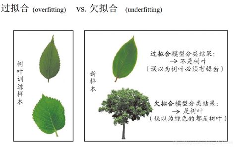 机器学习期末总结自助采样法 Csdn博客