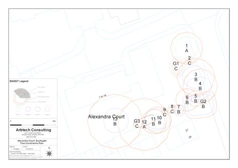 Arboricultural Impact Assessment From £249 Fast Turnaround