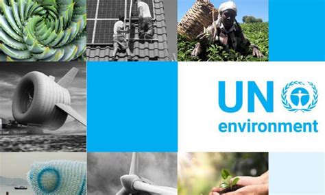 United Nations Environment Programme Convention On Migratory Species
