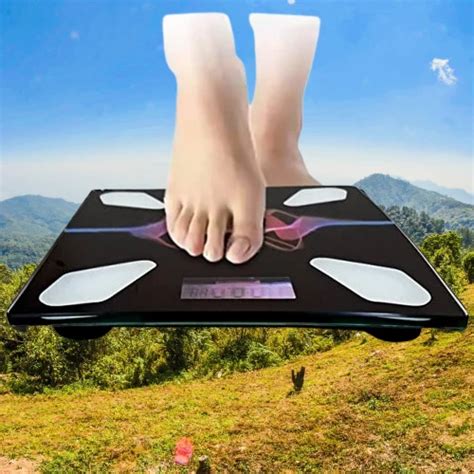 Digital Portable Scale At Rs 260 Piece Portable Weighing In Surat