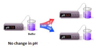 Explain What Is Buffer Solution Chemistry Question