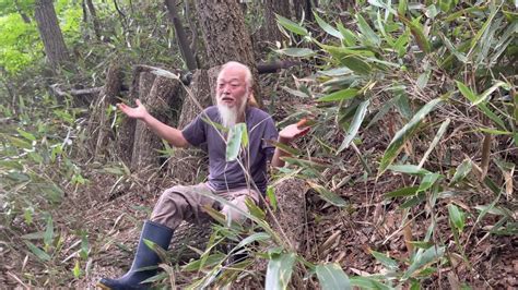 표고버섯은 아직능이버섯산행 Youtube