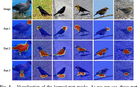 Figure 1 From Adversarial Transformers For Weakly Supervised Object Localization Semantic Scholar