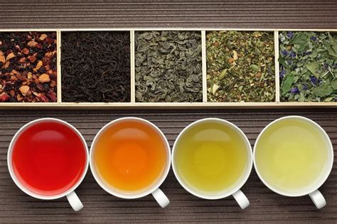 El Poder De Las Hierbas 10 Infusiones Para Llegar Sano Y Vital A La