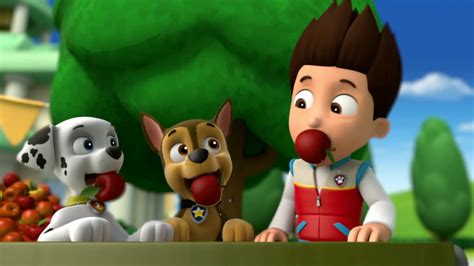 Paw Patrol Pics Paw Patrol Photo 39998662 Fanpop Page 64