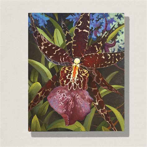 Exotic Dancer Graviss Studios