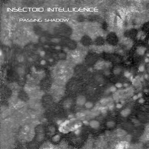 Passing Shadow Insectoid Intelligence