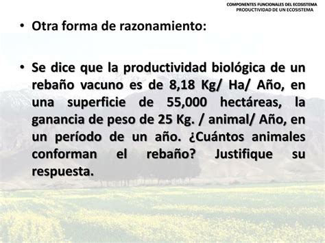 Ppt Componentes Funcionales Del Ecosistema Powerpoint Presentation