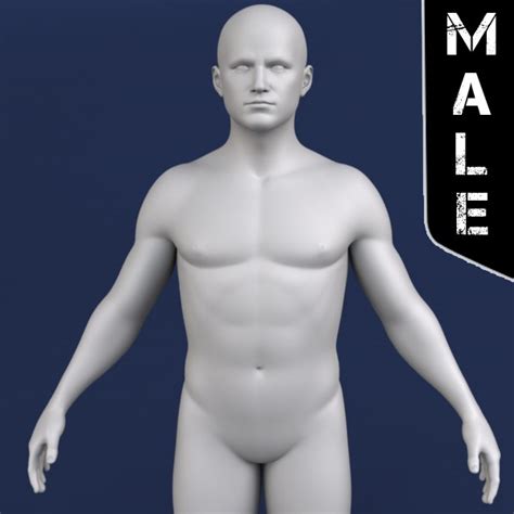 Polygonal Male Body Character 3d Model