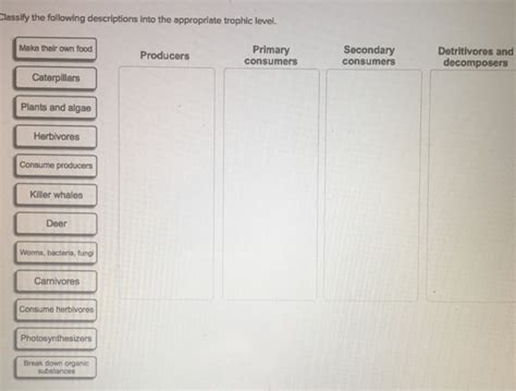 Solved Classify The Following Descriptions Into The