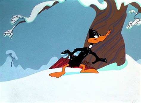 Looney Tunes Pictures Duck Rabbit Duck