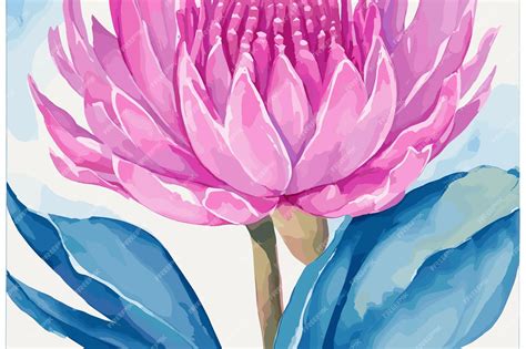 Flor De Loto Dibujo Acuarela Vector Premium