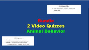 Bundle-2 Video Quizzes: Animal Behavior by Coach Smith Science | TPT