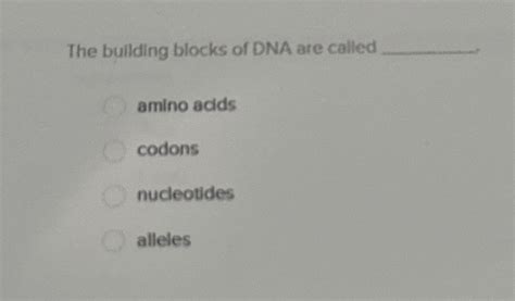 solved the bullding blocks of dna are called amino