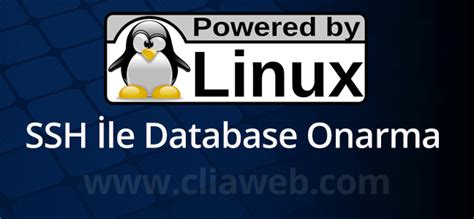 SSH Üzerinden Database Onarma MySQL Repair İşlemi