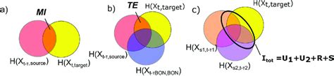 Venn Diagrams Illustrating Range Of Information Theory Based Measures