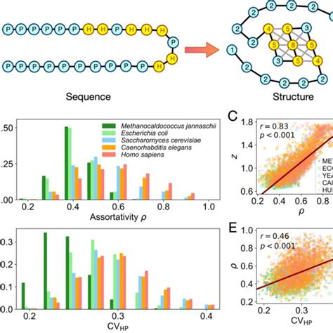 the statistics of alphafold predicted structures indicate the