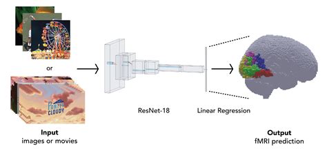 GitHub Dpmlab Img2fmri A Python Package For Predicting Group Level