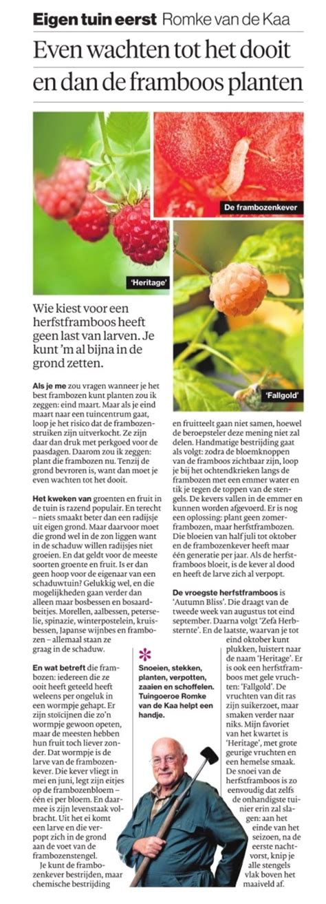 Raspberry Planting Guide