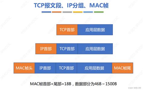 计网—tcp报文段，ip分组，mac帧 Csdn博客