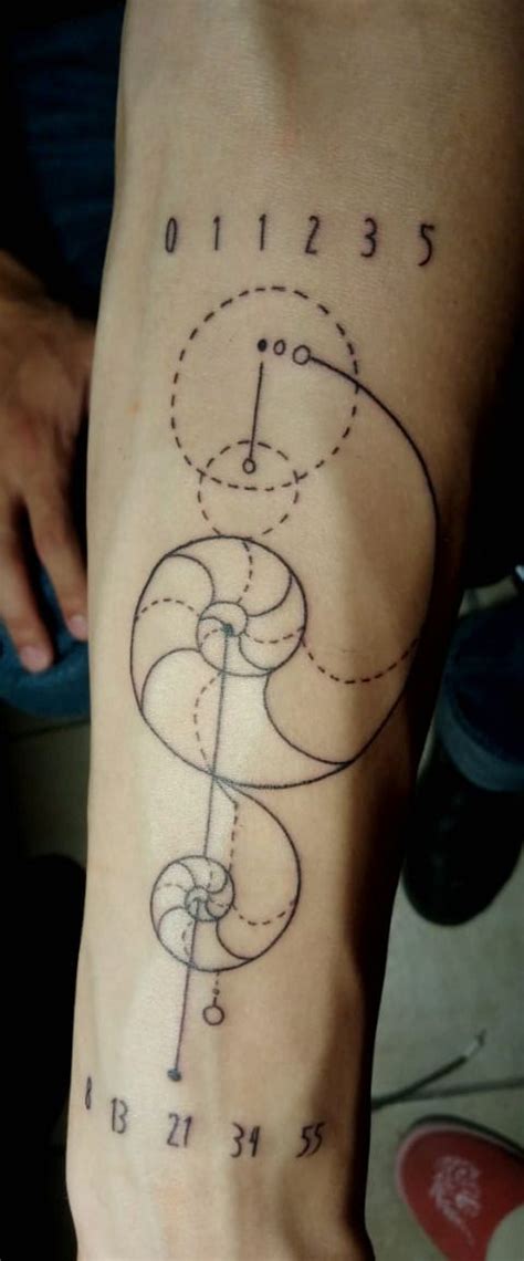 Fibonacci Sequence Alex Barbaroja Ocho Tintas Mex Zac Fibonacci