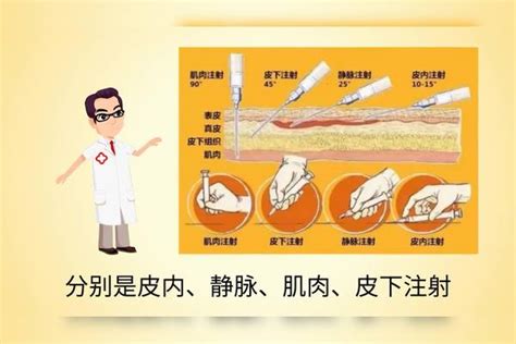 打针时身体上的肉会不会塞进针管里针扎下去破开的肉去哪了