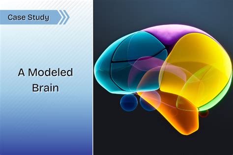 Success Stories Ai Based On Human Brain Ai Quantum Intelligence