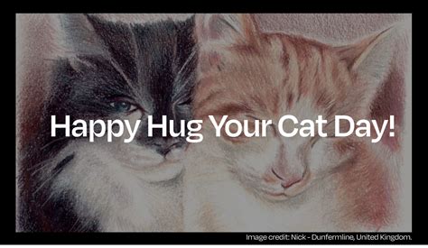 Happy Hug Your Cat Day Book An Artist Blog