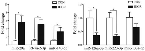 Rt‑qpcr Validation For Specific Mirnas With Altered Expression The Six