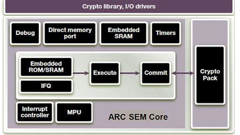 Secure Processing Subsystem Based On Arcs Sem Processors