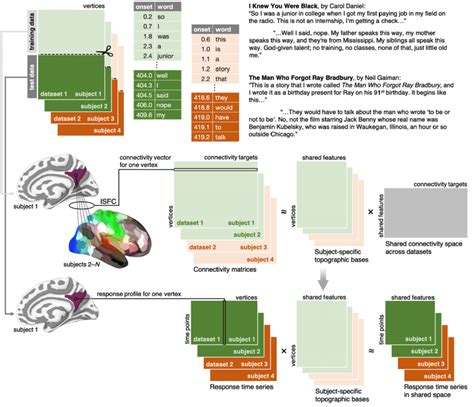 schematic of connectivity based shared response model data comprise