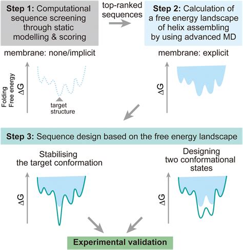 Towards De Novo Design Of Transmembrane α Helical Assemblies Using