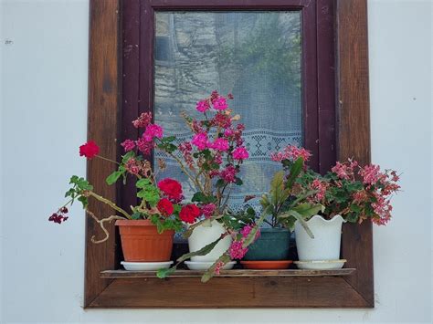 Старинна архитектура и пленителни гледки в пиринското село Делчево България в снимки