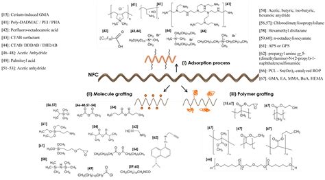 Nanofibrillated Cellulose Surface Modification A Review