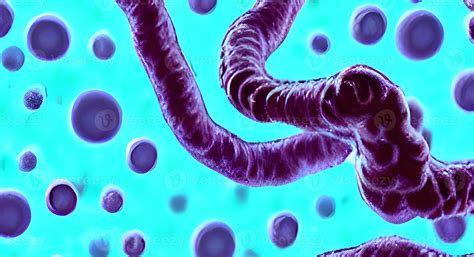 Bacterie En Virussen Aan Oppervlakte Van Huid Slijm Membraan Of Darm
